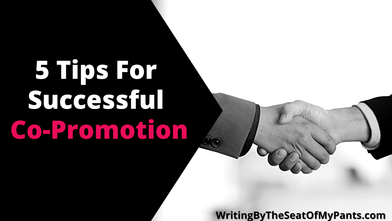 5 Tips For Successful Co-promotion For Authors – Writing By The Seat Of ...