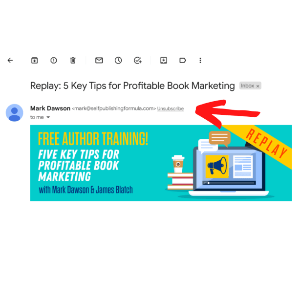 6 Tips For Successful Email Marketing – Writing By The Seat Of My Pants