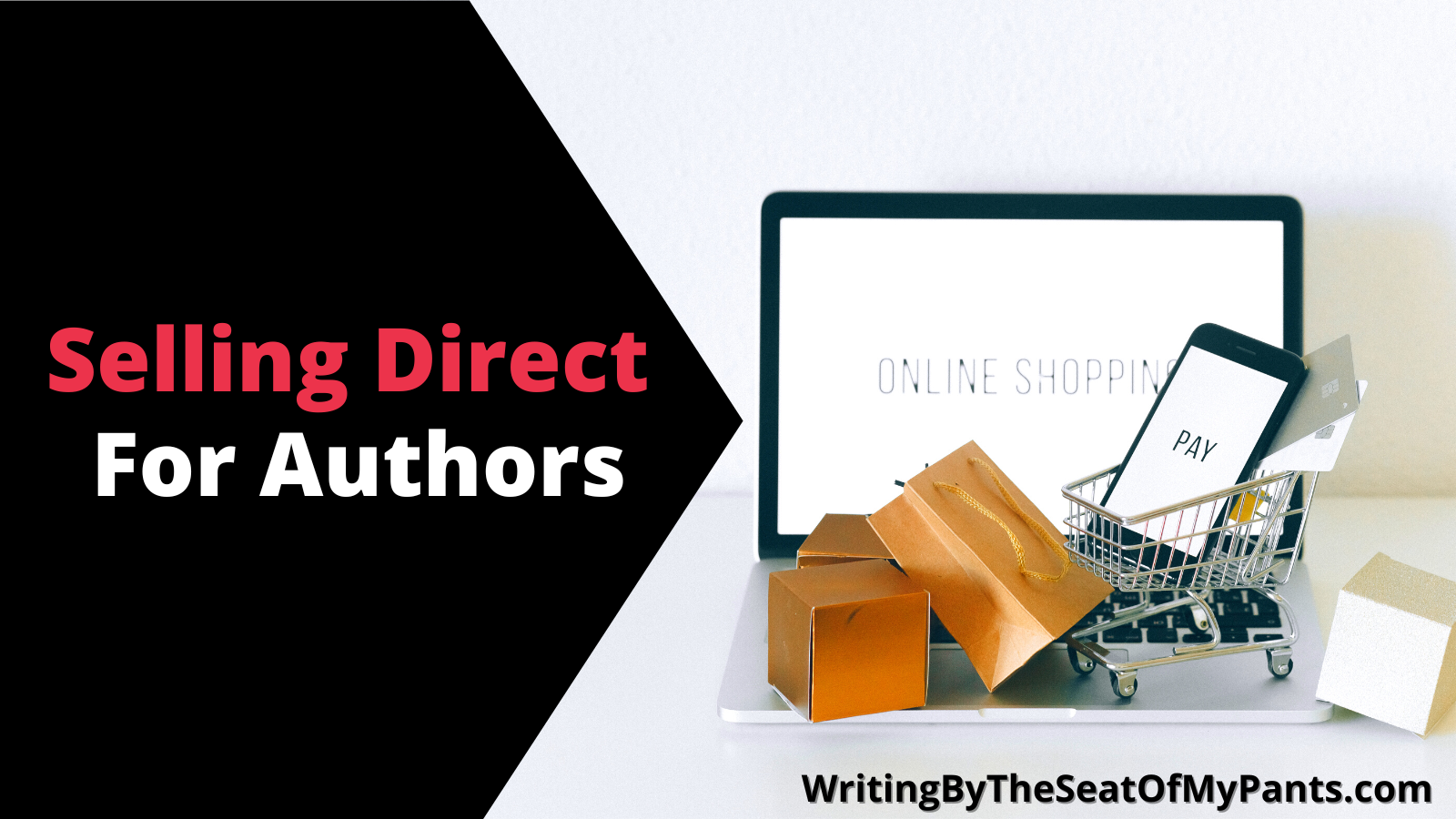 Selling Books Direct – Writing By The Seat Of My Pants